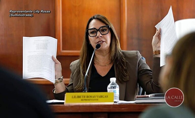 Representante Lilly Rosas atenta a la aprobación de la llamada “reforma ...